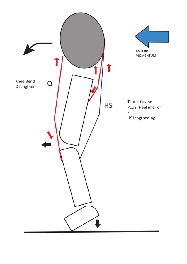 Geoff Verrall Hamstring Injury Symposium presentation part 2 | PDF