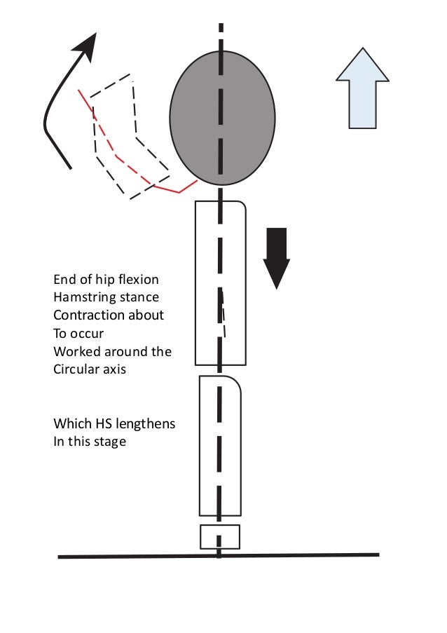 Geoff Verrall Hamstring Injury Symposium presentation part 2