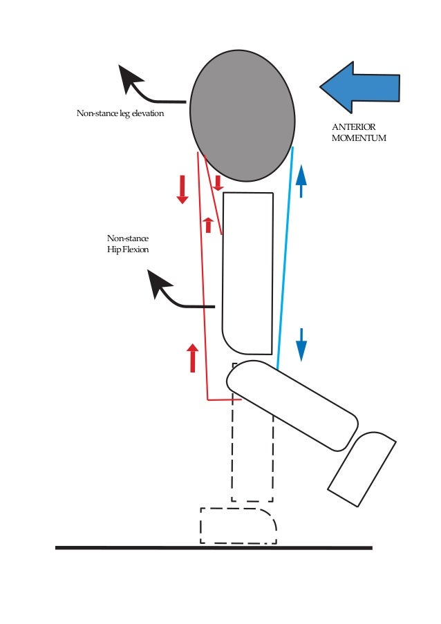 Geoff Verrall Hamstring Injury Symposium presentation part 2