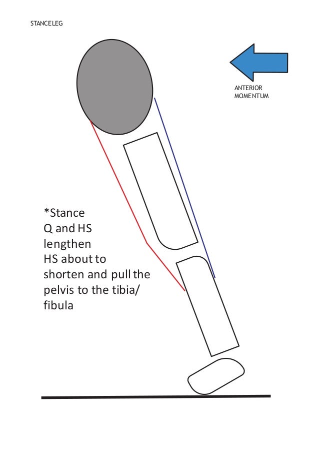 Geoff Verrall Hamstring Injury Symposium presentation part 2