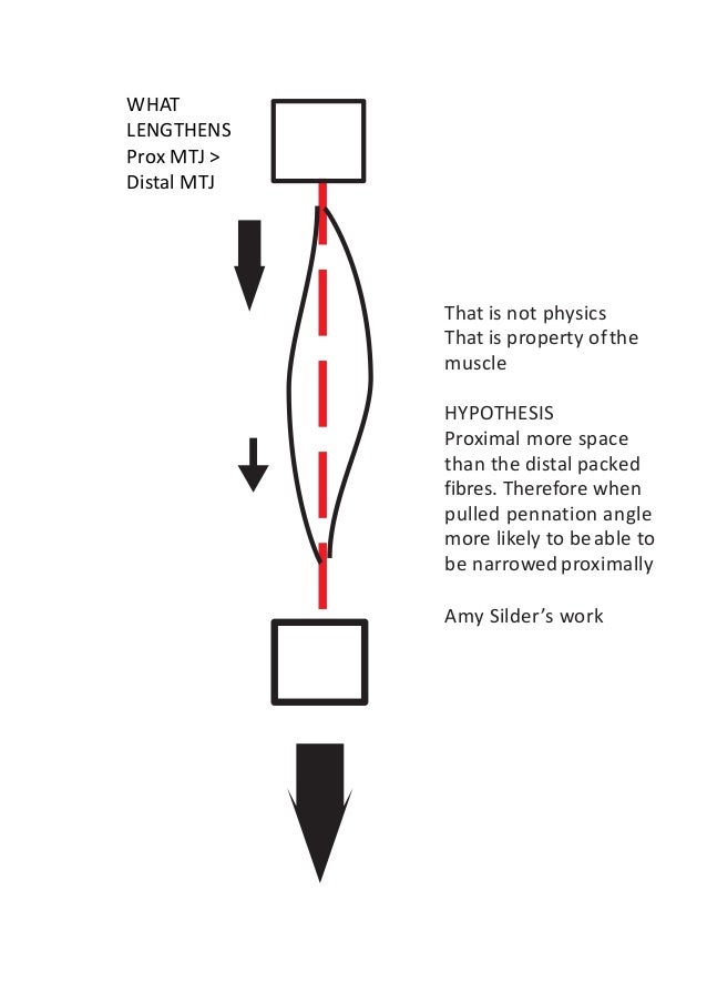 Geoff Verrall Hamstring Injury Symposium presentation part 2