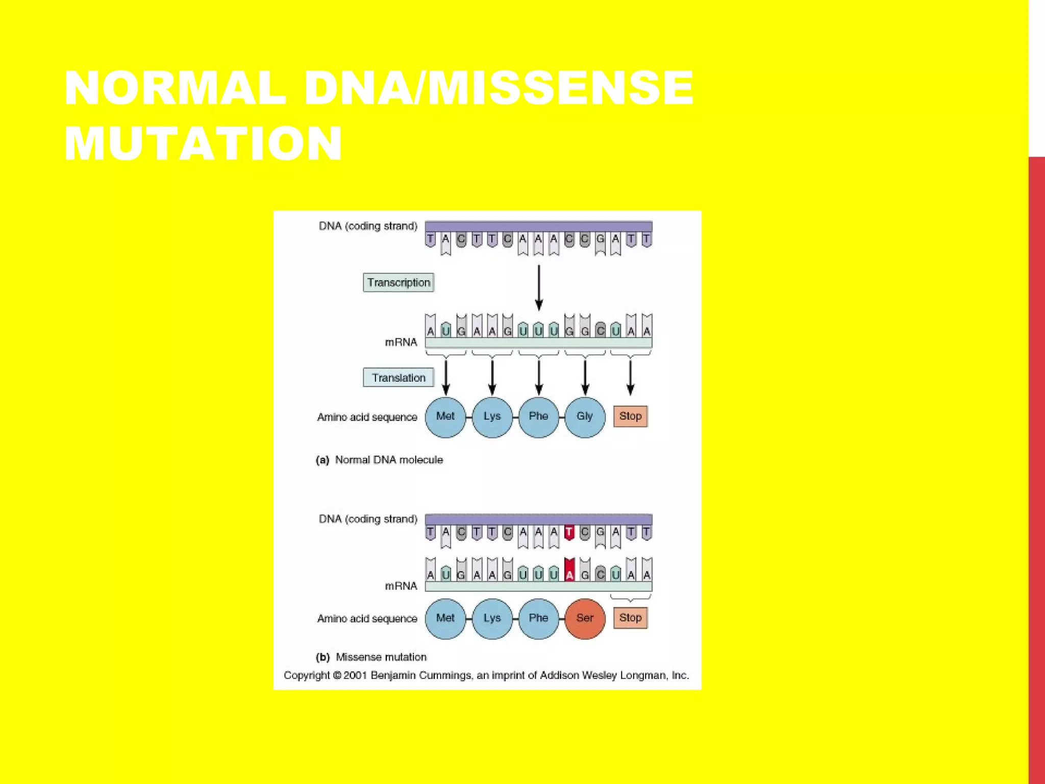 MICROBIAL GENETICS | PPT