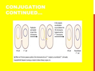 MICROBIAL GENETICS | PPT