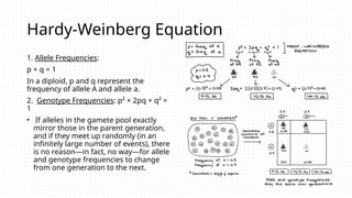 Hardy-Weinberg Principle and Effects of Evolutionary Forces.pptx