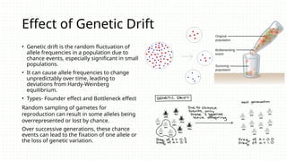 Hardy-Weinberg Principle and Effects of Evolutionary Forces.pptx