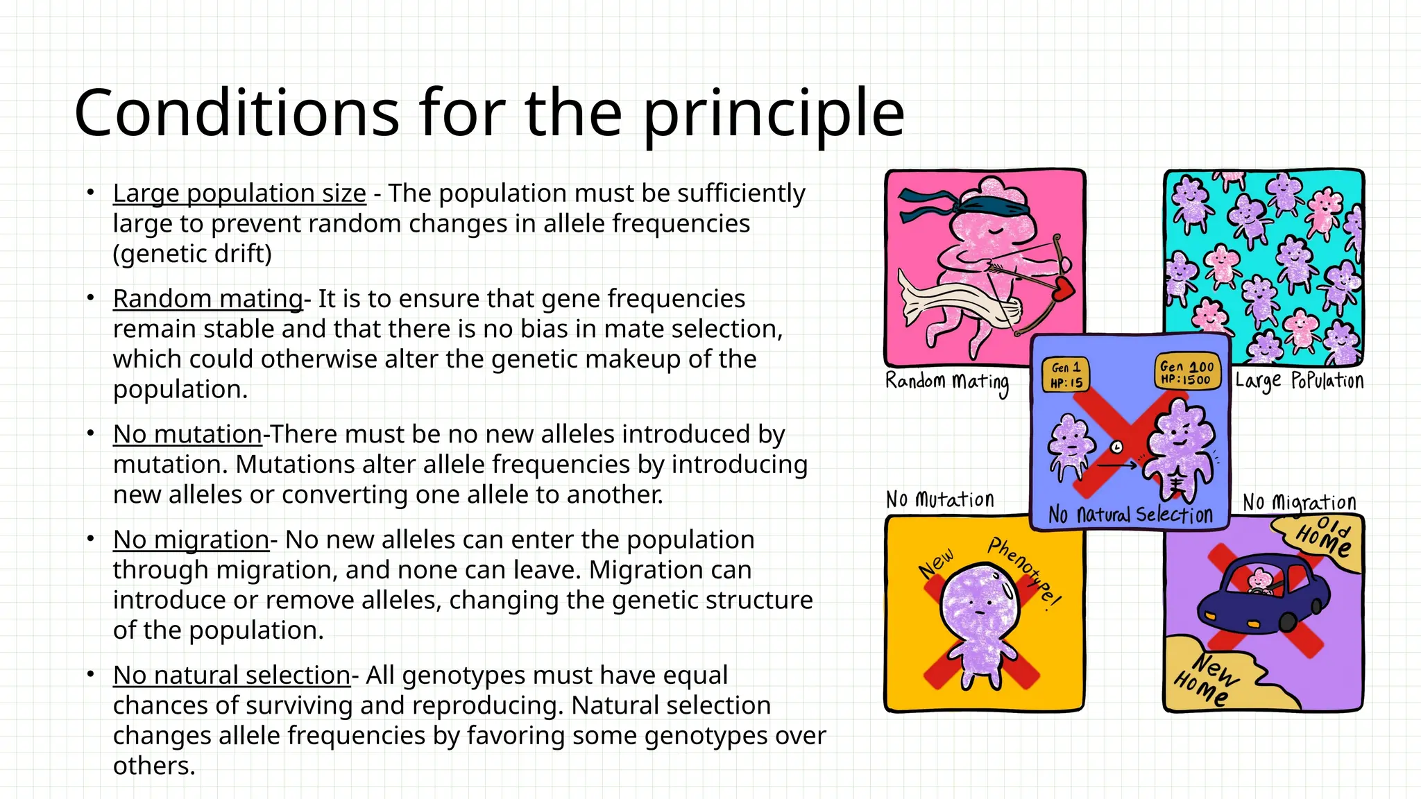 Hardy-Weinberg Principle and Effects of Evolutionary Forces | PPTX