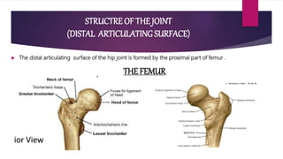 biomechanics of hip joint | PPTX