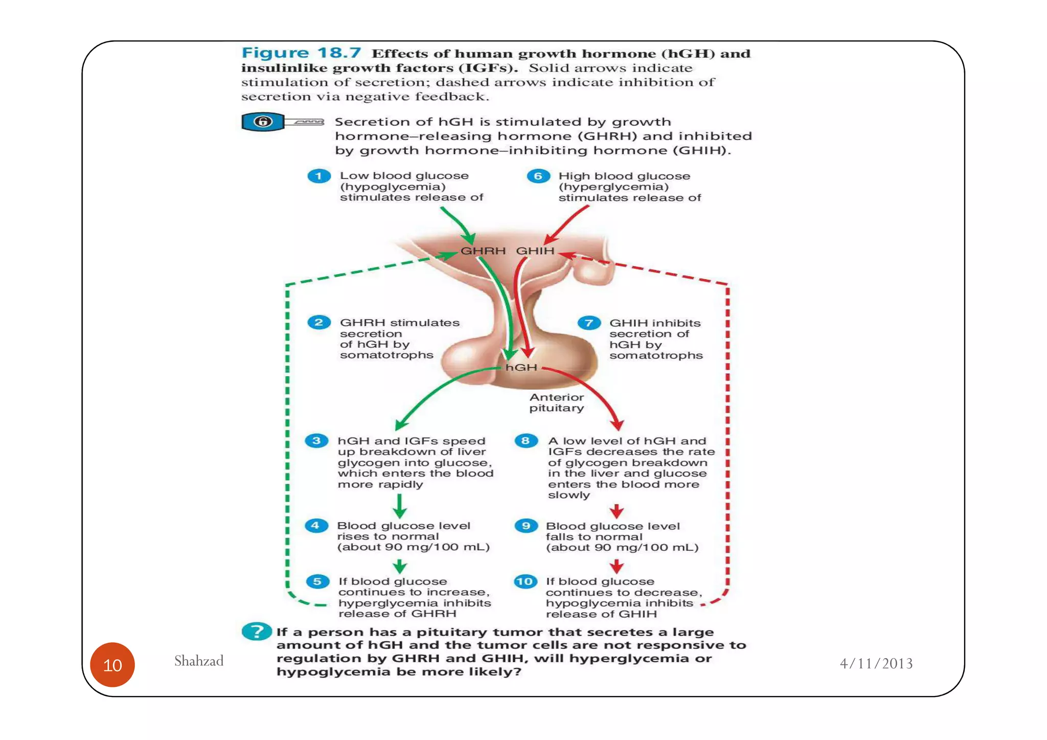 Final gigantism. | PDF