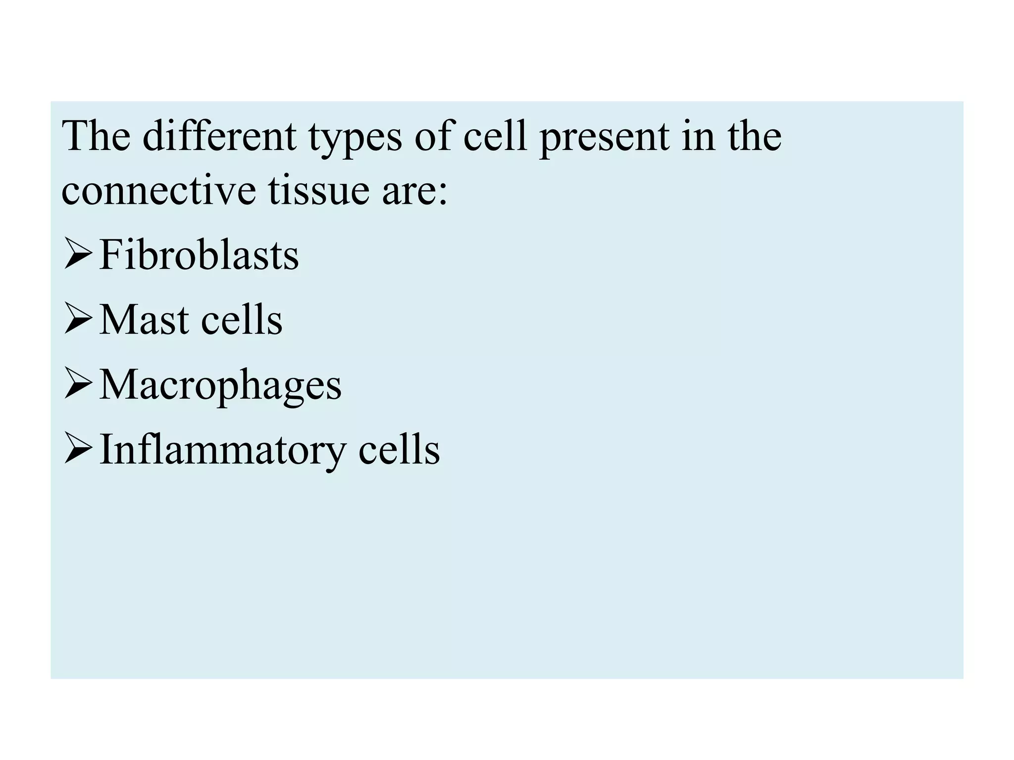 gingival connective tissue | PPTX