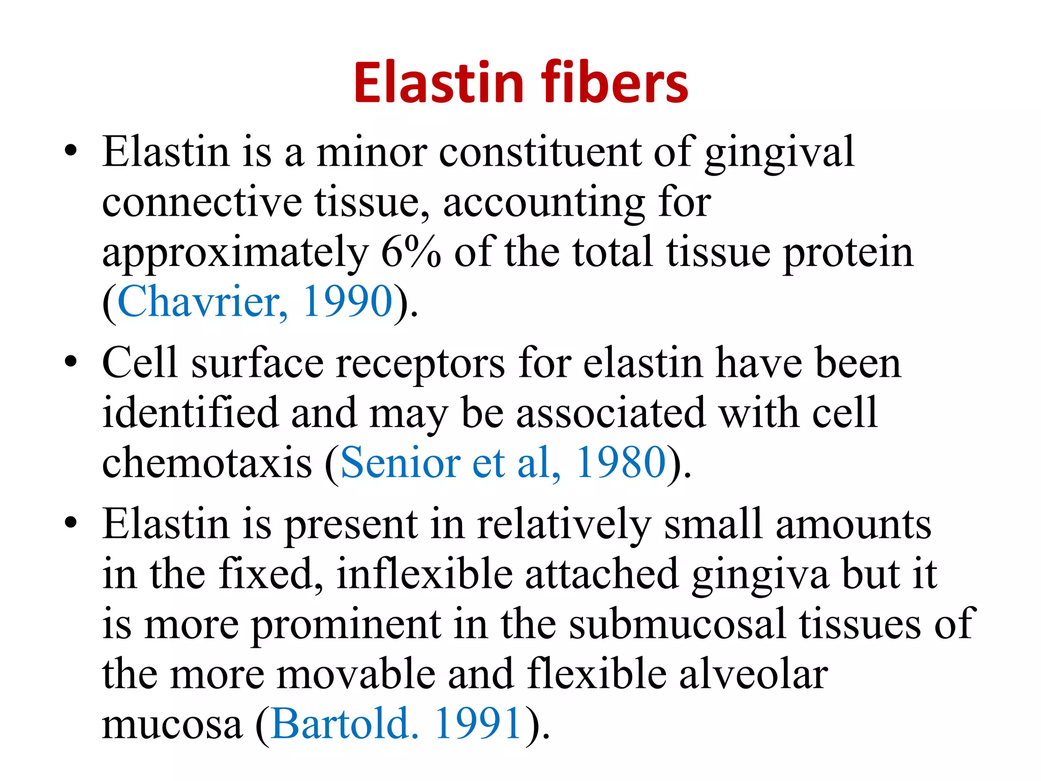 gingival connective tissue | PPTX