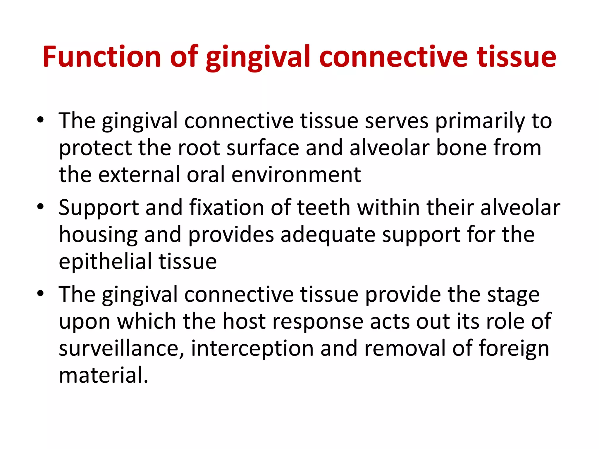 gingival connective tissue | PPTX