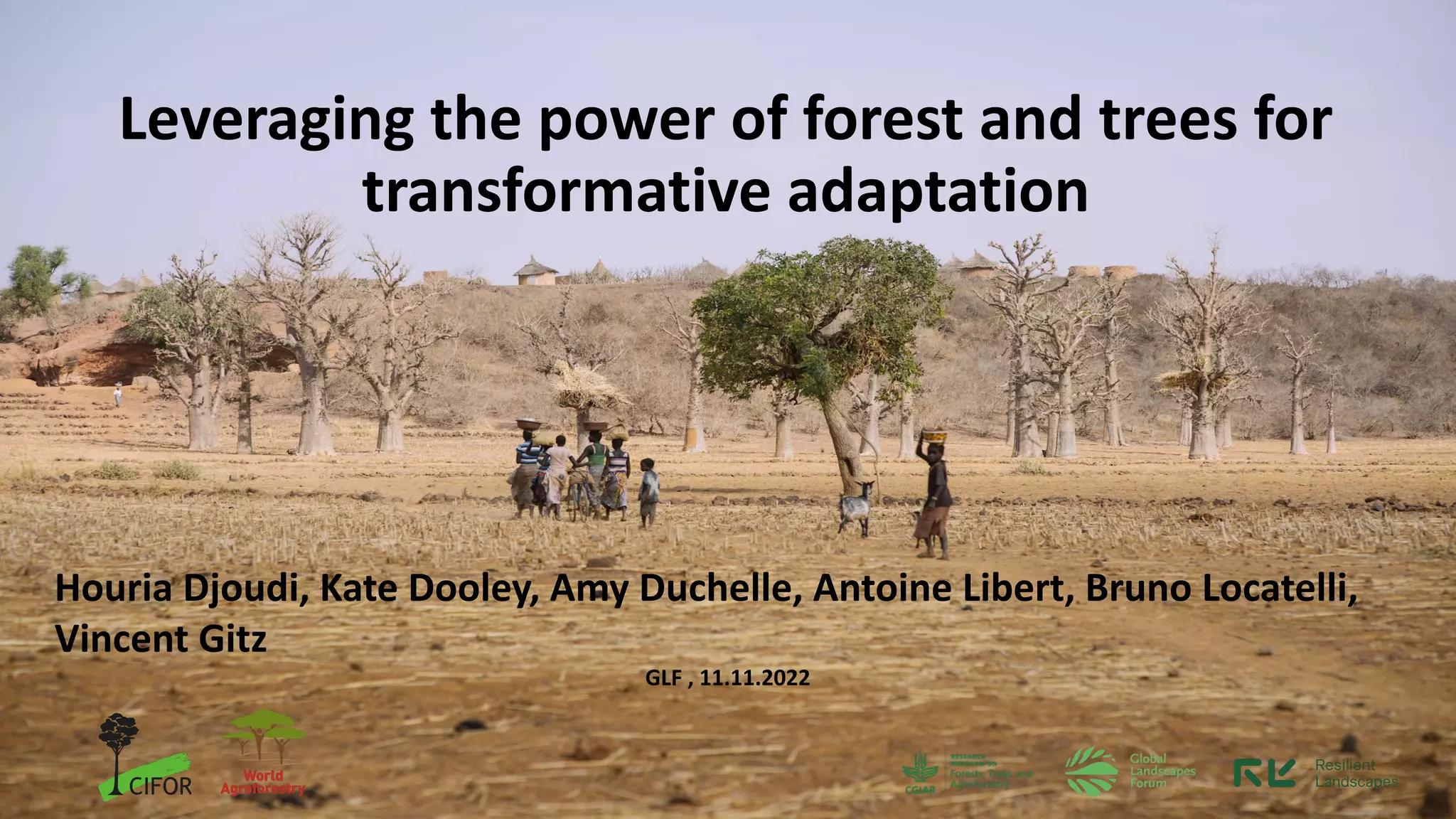 Leveraging the power of forest and trees for transformative adaptation ...