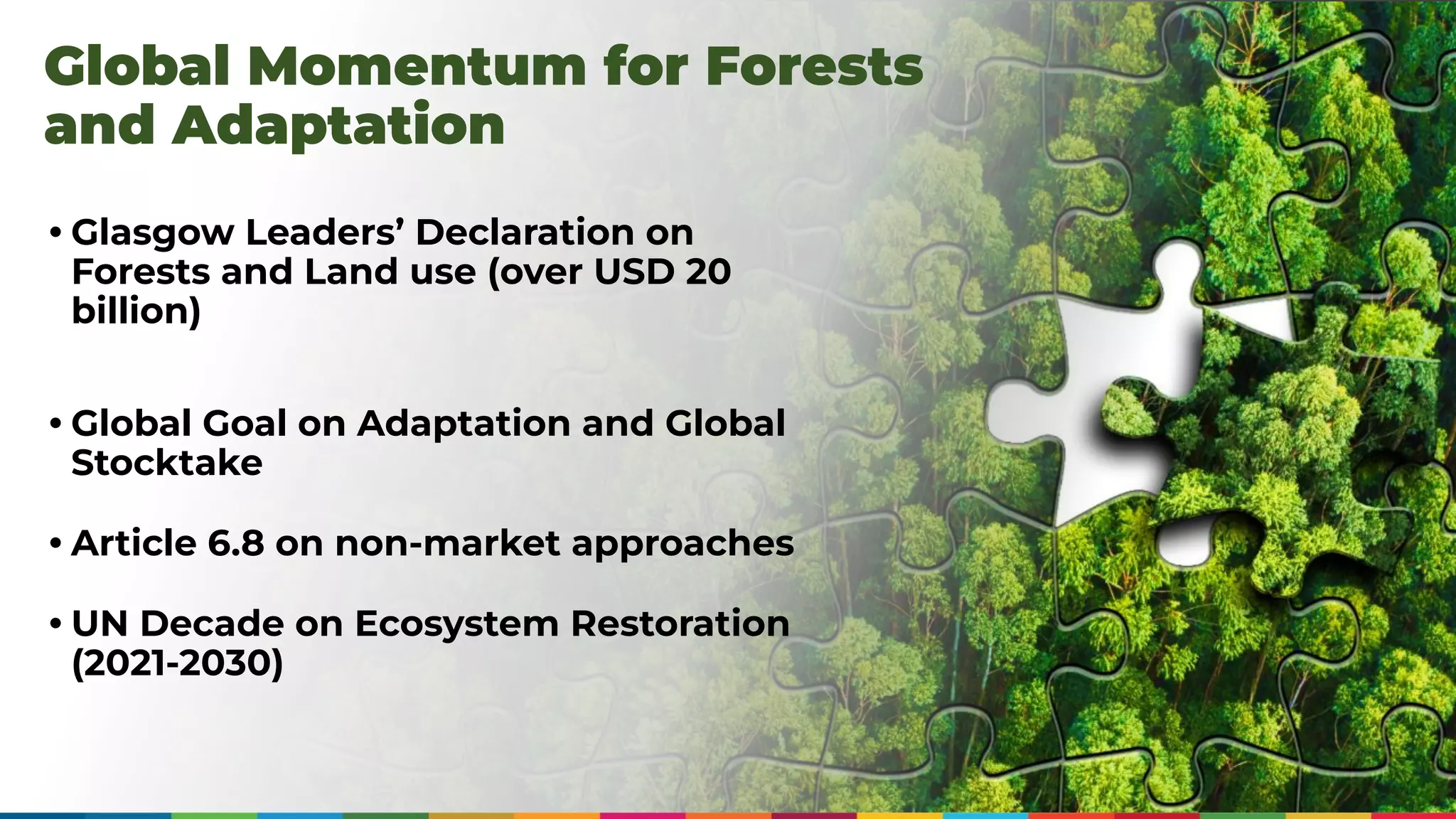 Leveraging the power of forest and trees for transformative adaptation ...
