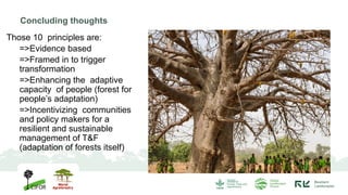 Leveraging the power of forest and trees for transformative adaptation ...