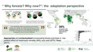 Leveraging the power of forest and trees for transformative adaptation ...
