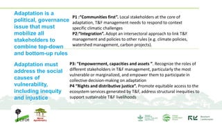 Leveraging the power of forest and trees for transformative adaptation ...