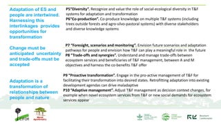 Leveraging the power of forest and trees for transformative adaptation ...