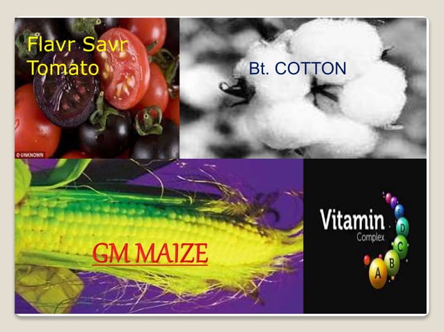 GM Crops for long term food and Nutritional Security” | PPT