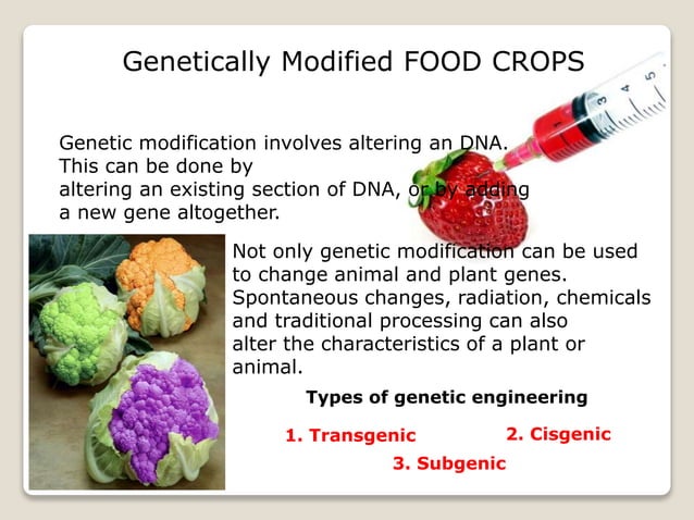 GM Crops for long term food and Nutritional Security” | PPT