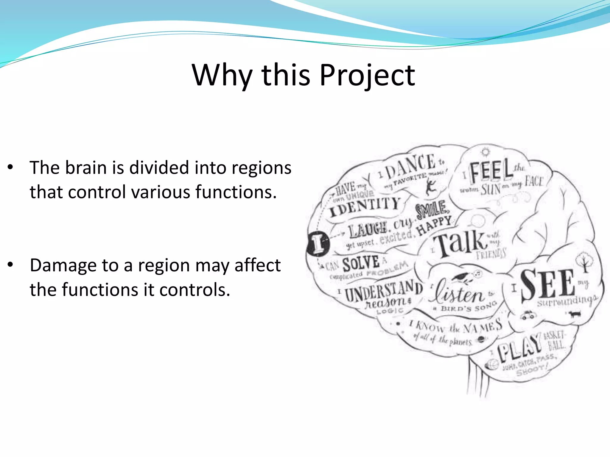 Automatic System For Detection And Classification Of Brain Tumors Ppt