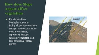 Final group 4(topographic condition and their effect in vegetation | PPTX