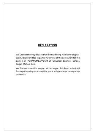 Marketing plan PDF report | PDF