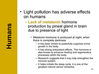 Final gs ch 11 light pollution | PPT