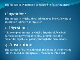 Final gs ch p digestion | PPT