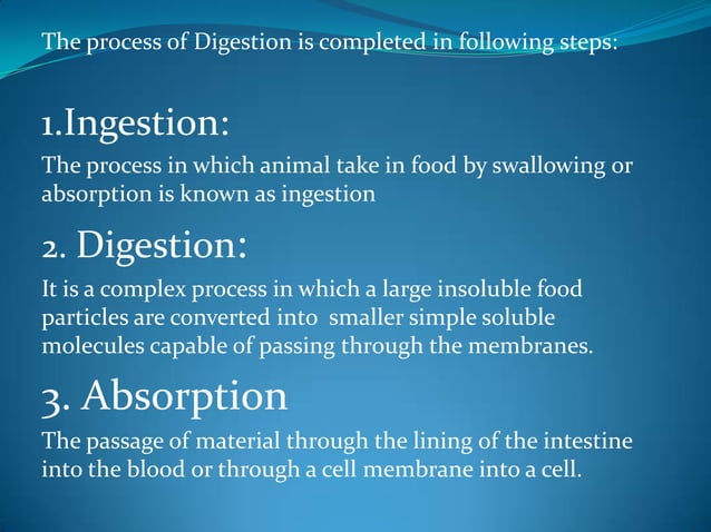 Final gs ch p digestion | PPT