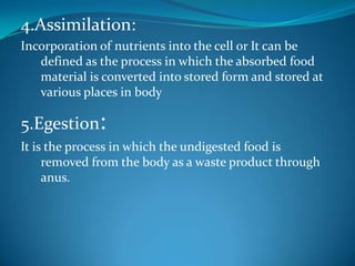 Final gs ch p digestion | PPT