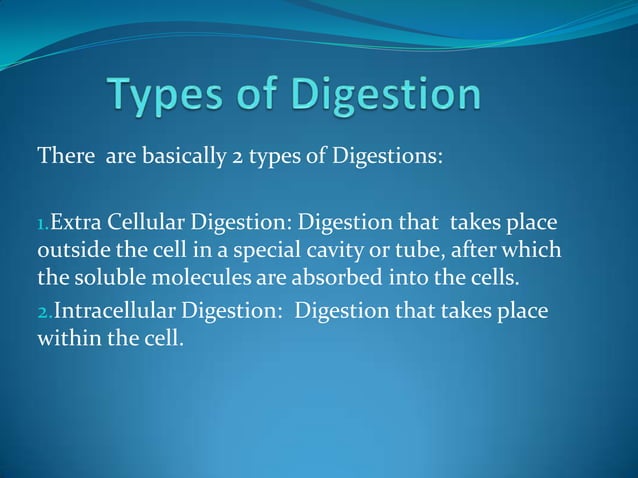 Final gs ch p digestion | PPT