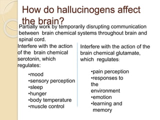 Final hallucinogens yasir raza | PPTX | Illegal Drugs, Tobacco ...