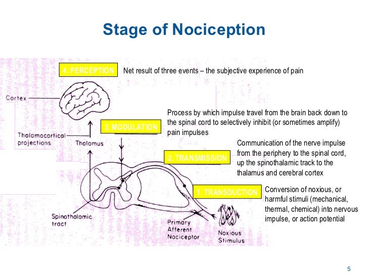 7.疼痛治療新紀元Final handout