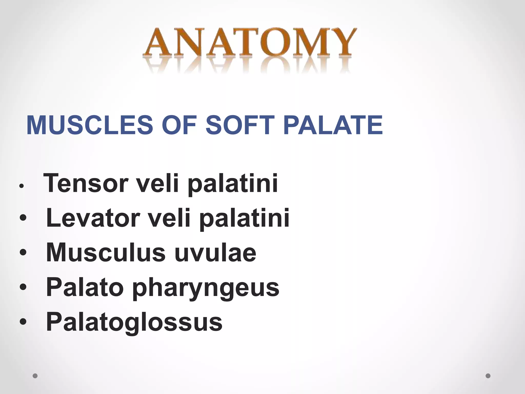 hard and soft palate | PPTX