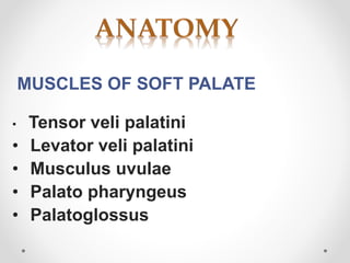 hard and soft palate | PPTX