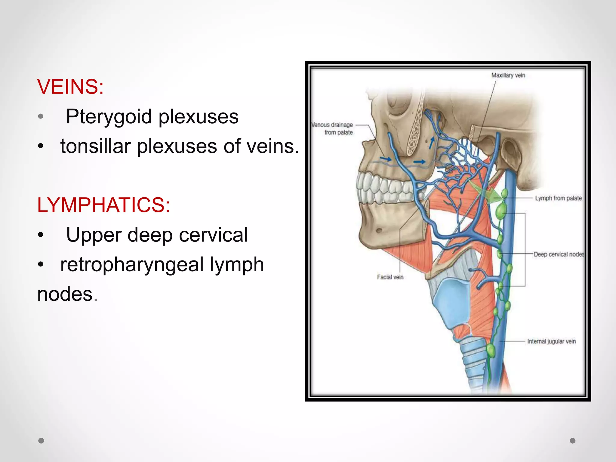 hard and soft palate in prosthodontics | PPTX