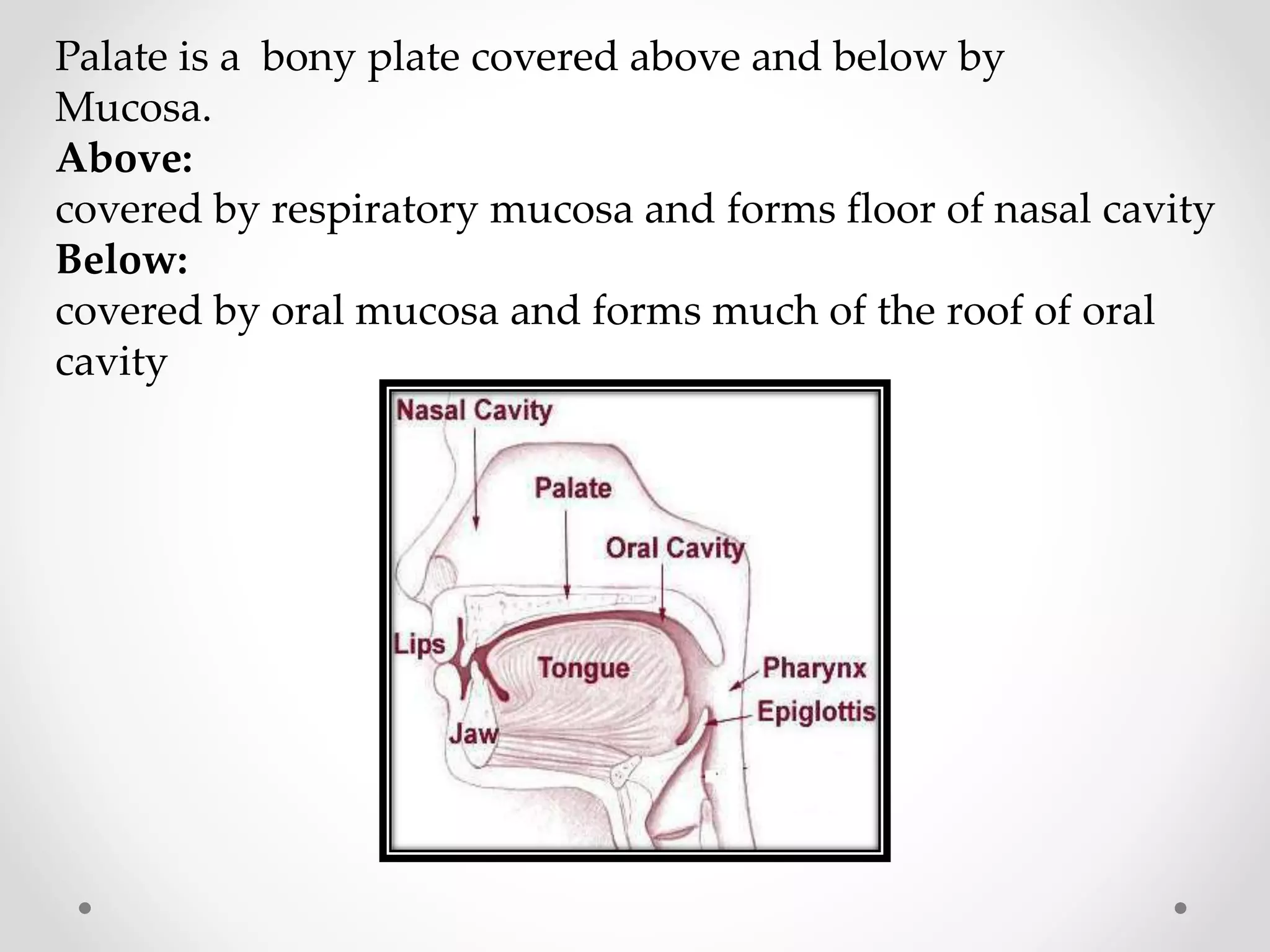 hard and soft palate in prosthodontics | PPTX