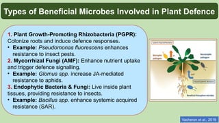 Insect Induced Plant Defence Machanism PPT | PPTX