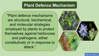 Insect Induced Plant Defence Machanism PPT | PPTX