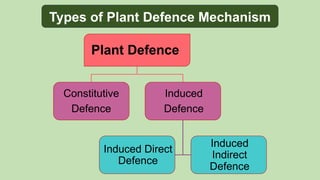 Insect Induced Plant Defence Machanism PPT | PPTX