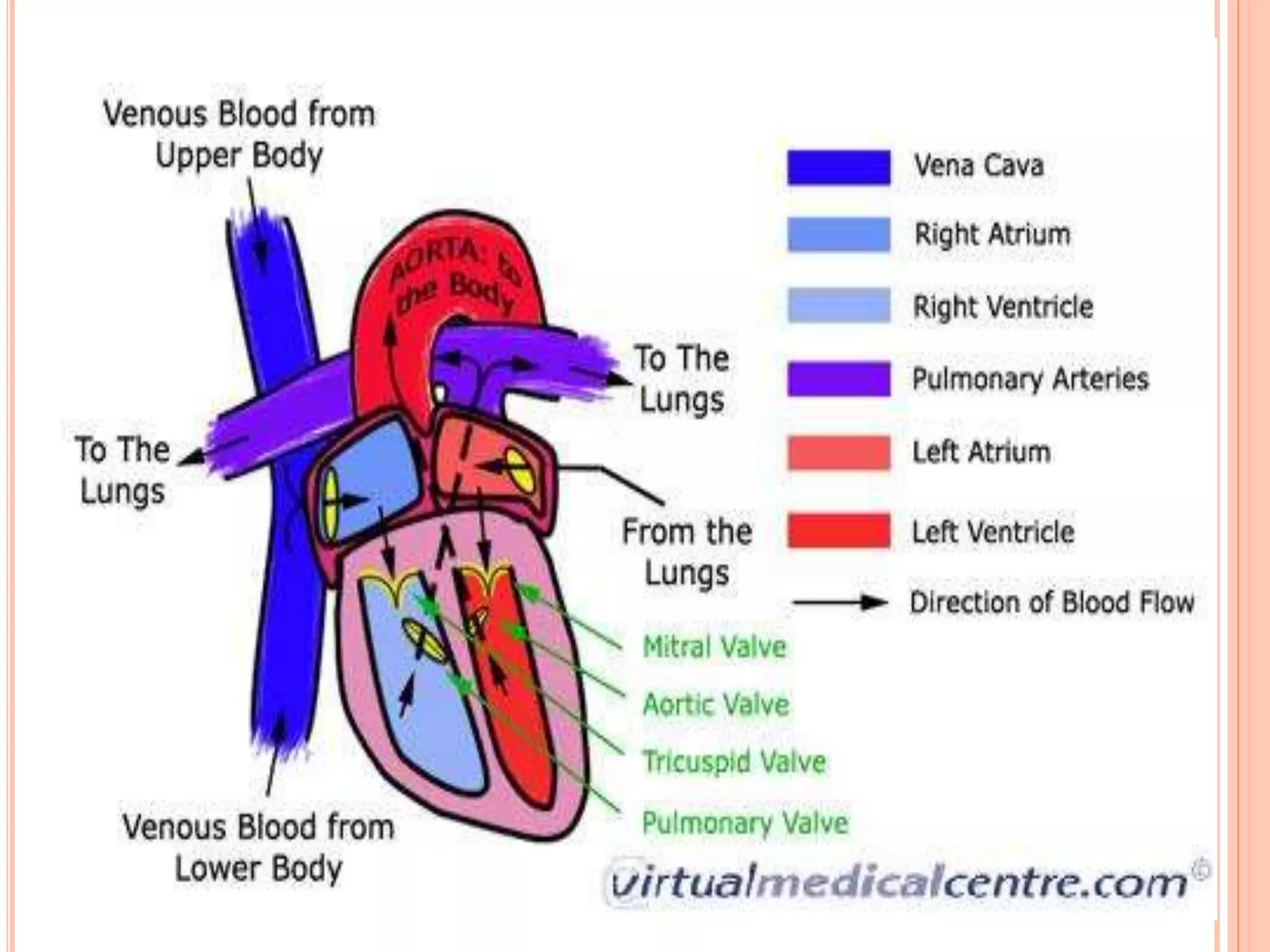 Heart block | PPTX