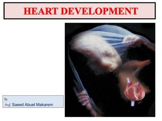 Final heart development.ppt