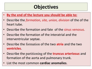 Final heart development.ppt