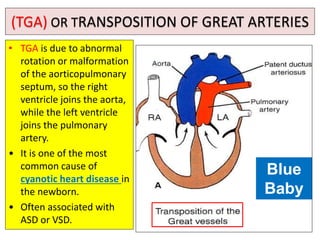 Final heart development.pptx