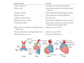 Final heart development.pptx
