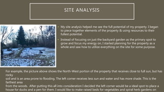 Final Homestead Plan | PPT