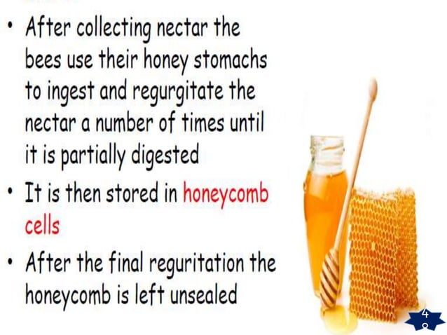 Honey: A functional food & it's application in food products | PPT