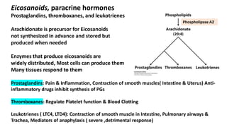 Final Hormones and their role in human body | PPTX