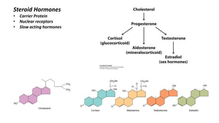 Final Hormones and their role in human body | PPTX