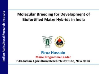 Molecular Breeding for Development of Biofortified Maize Hybrids in ...